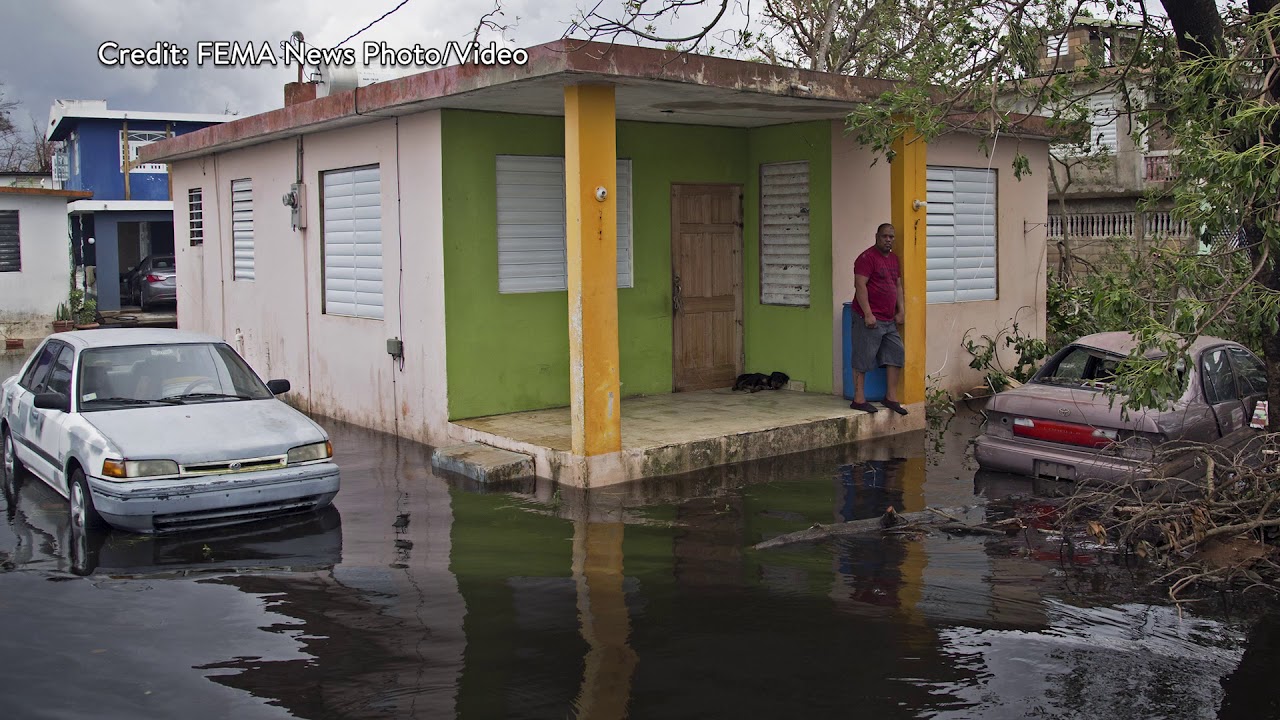 Marisol LeBrón: Rebuilding Puerto Rico - YouTube