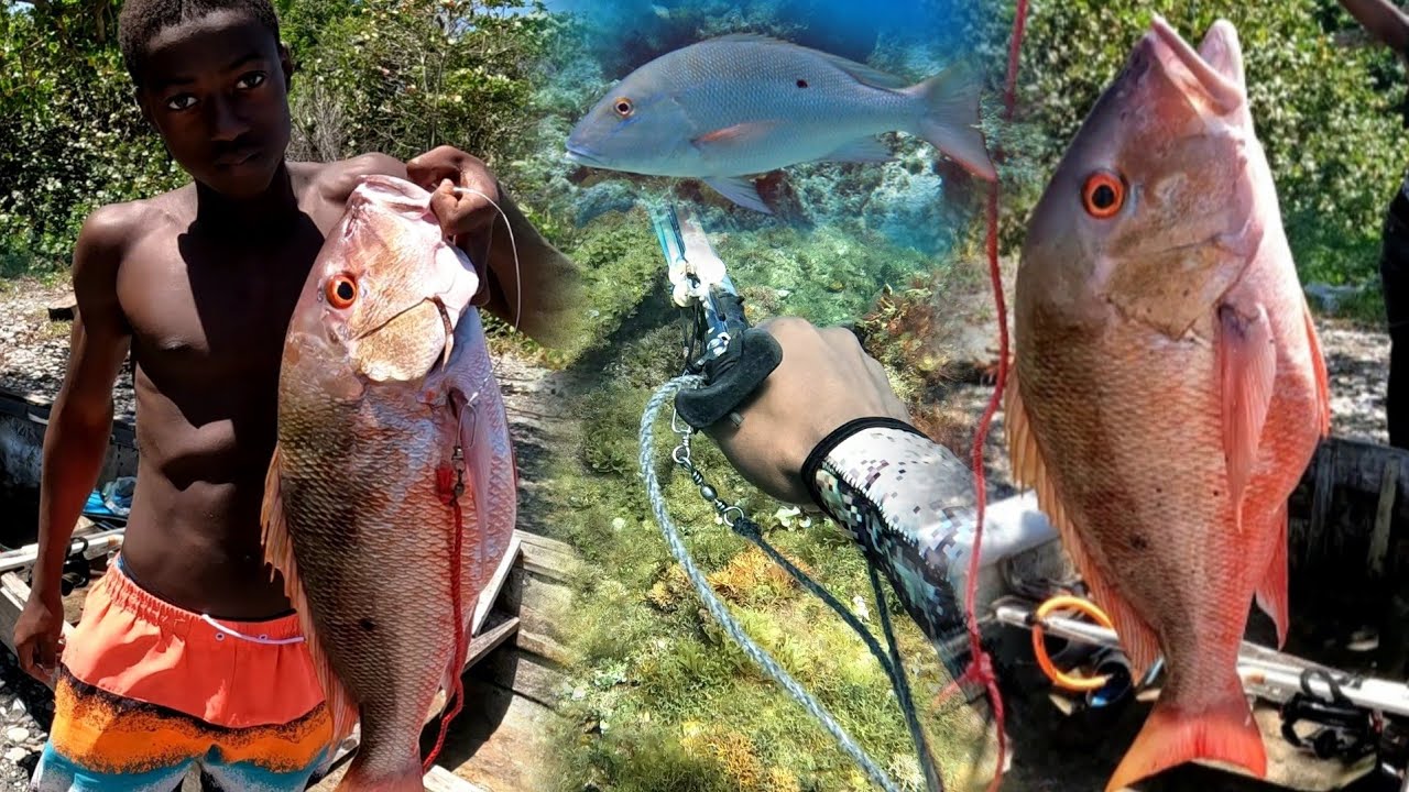 Monster Mutton Snapper Caught Today🇯🇲 | Survival Spearfishing in Rough ...