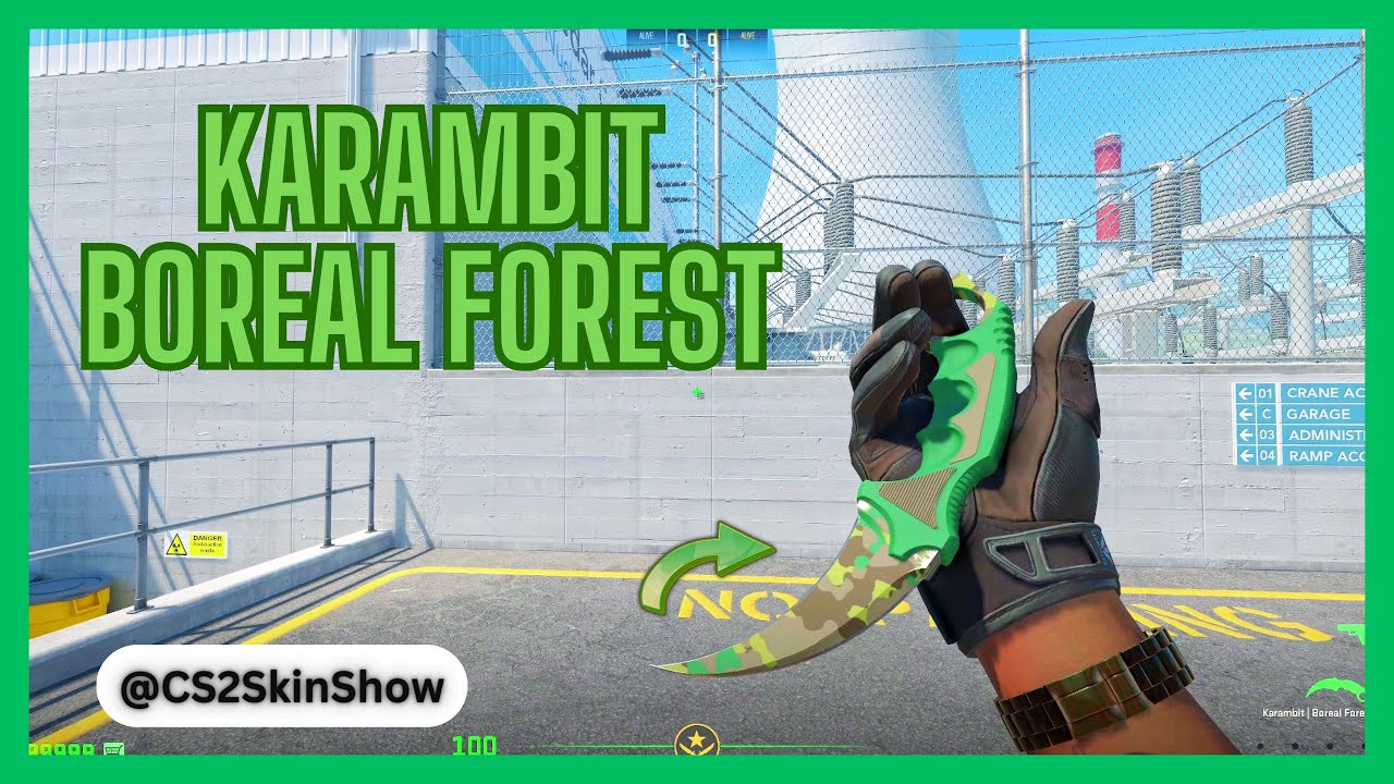 CS2 Karambit Knife Boreal Forest | CS2 In-Game Inspect [4K] - YouTube