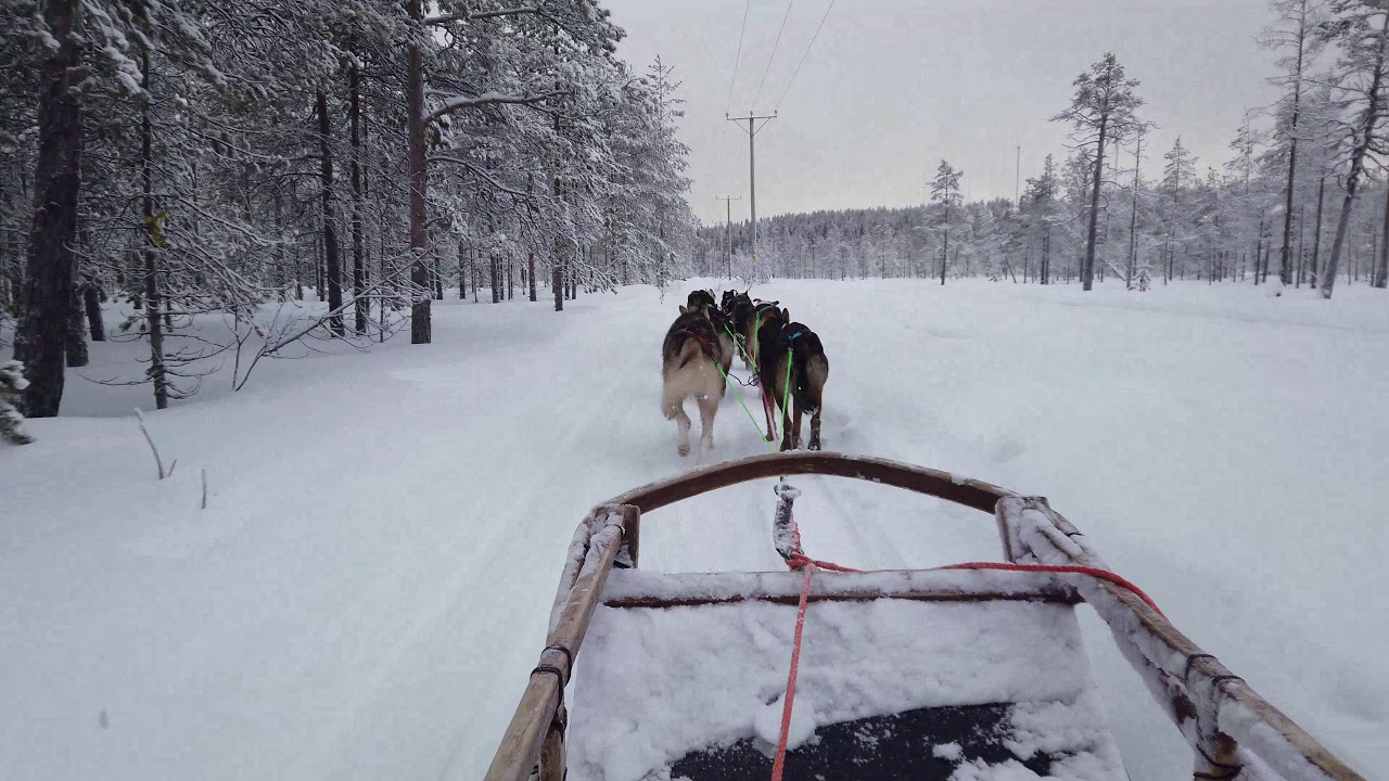Huskies Ride in Lapland's Santa Village on 9 Feb 2020 - YouTube