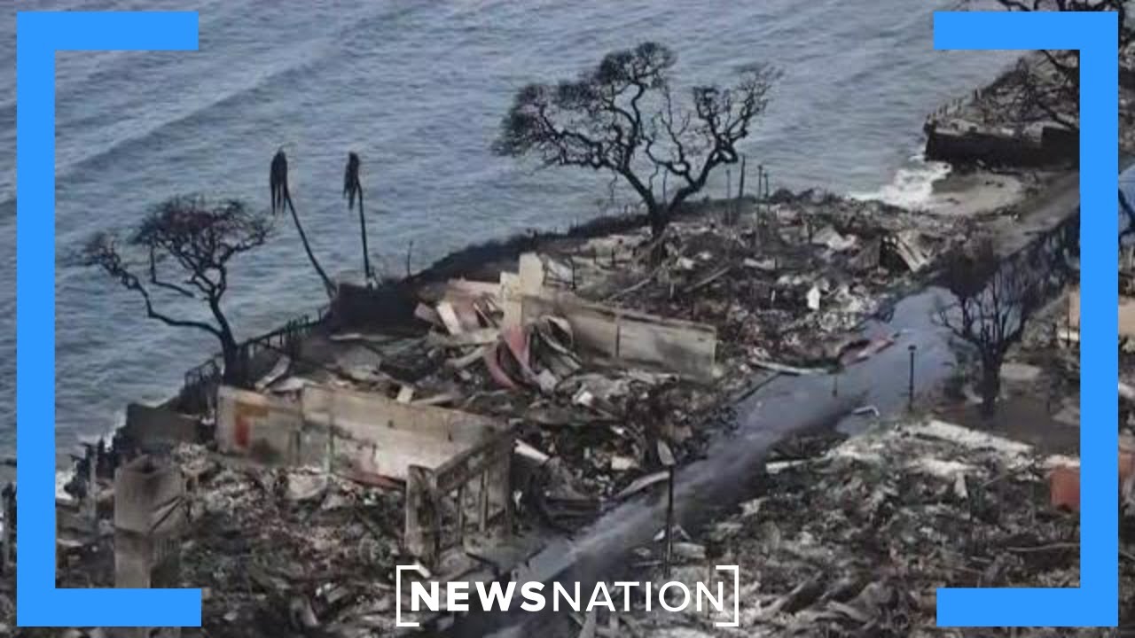 Developers attempt Maui land grab days after deadly wildfires | Dan ...