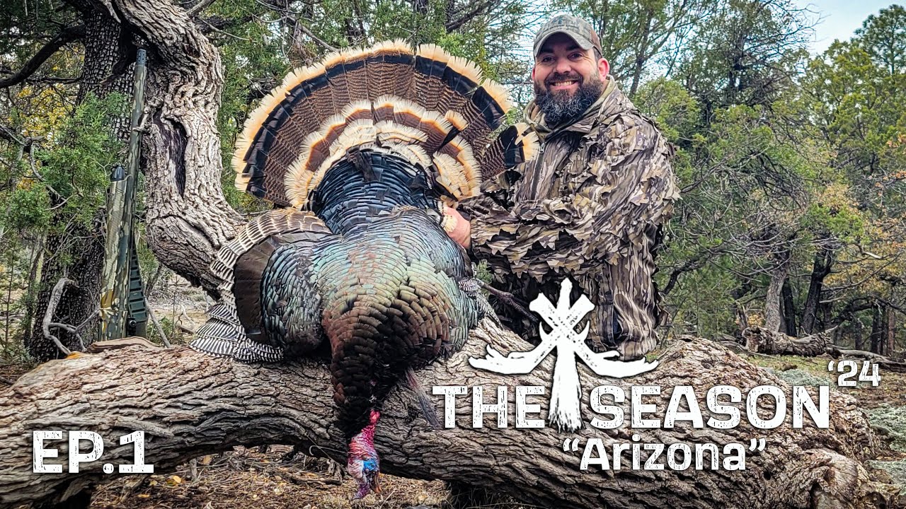 Arizona Turkey Hunting - Tight to roost on stubborn flocked up Merriams ...