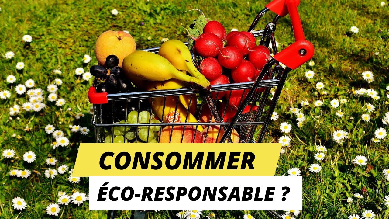 Comment consommer éco-responsable ? Dans les coulisses de TEDxBrussels ...