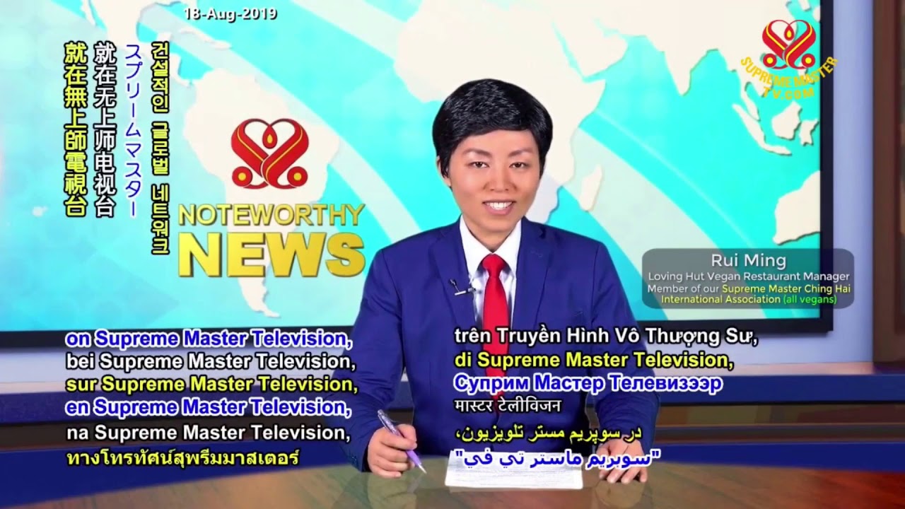 Supreme Master TV LIVE 2019 08 18 - YouTube