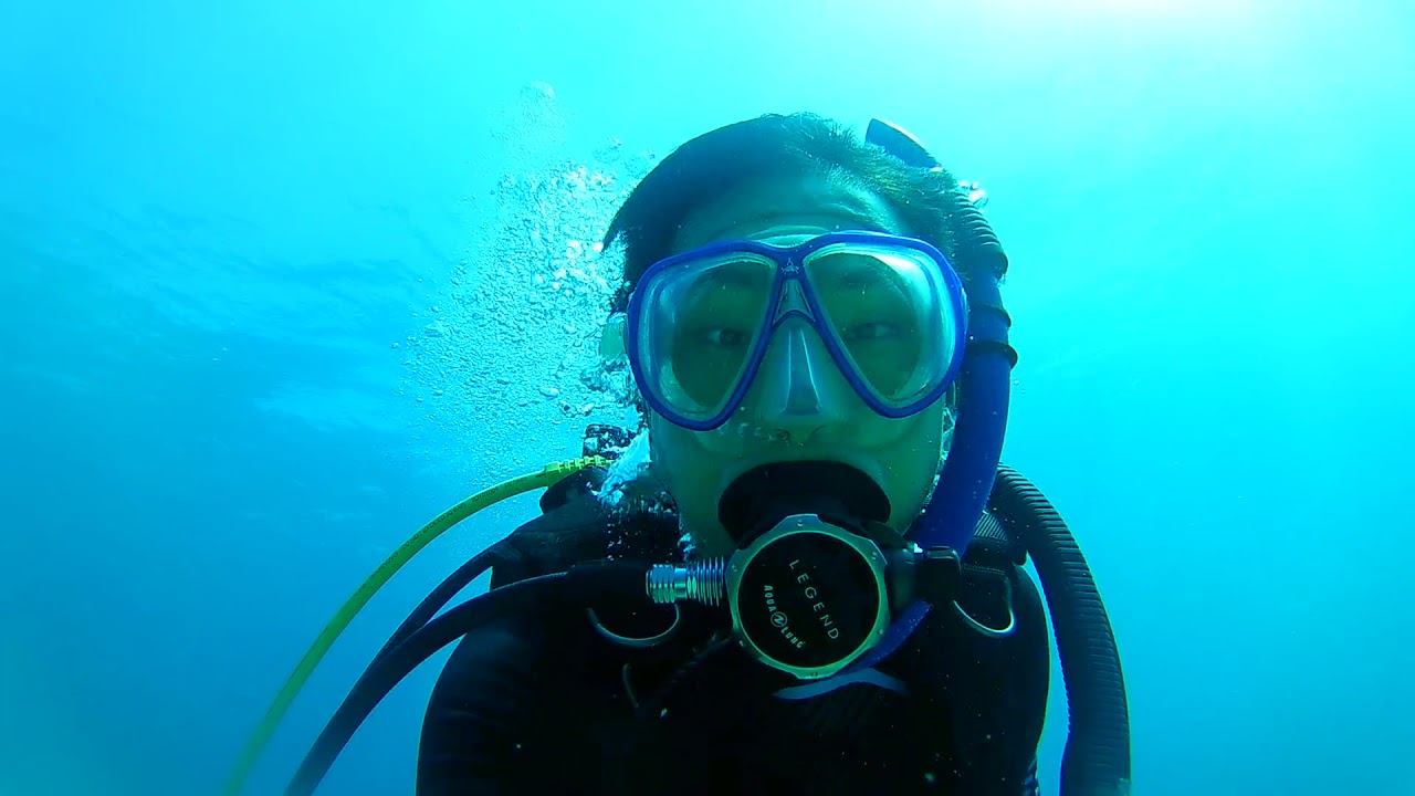 Jan 28 - Dive site "Cemetery Wall" - part 2 of 2 - YouTube