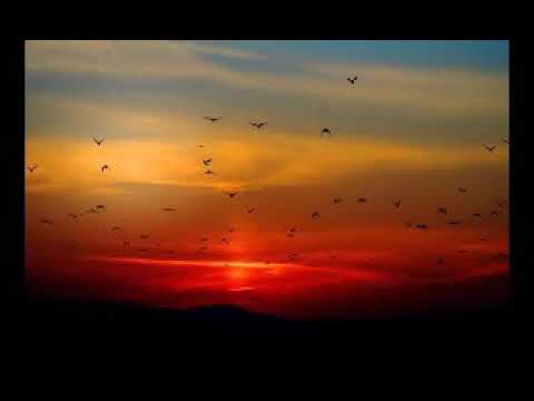 Tren Yalnızlığı Mahsun Özkan