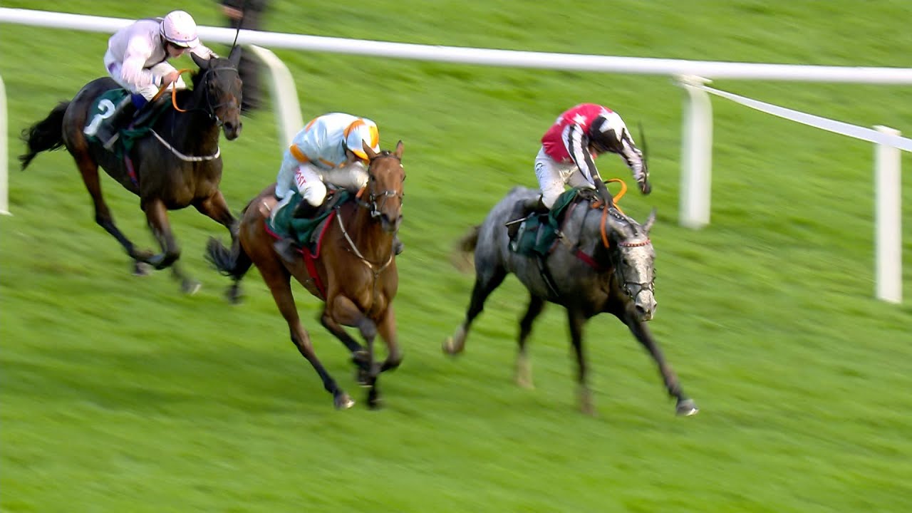 STRAW FAN JACK is a Cheltenham beauty for trainer Sheila Lewis - Racing ...