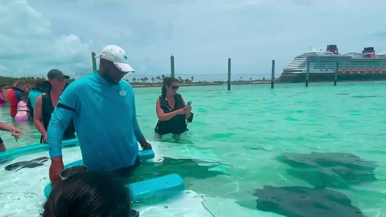 Stingray experience one of many excursions at Disney's Castaway Cay ...