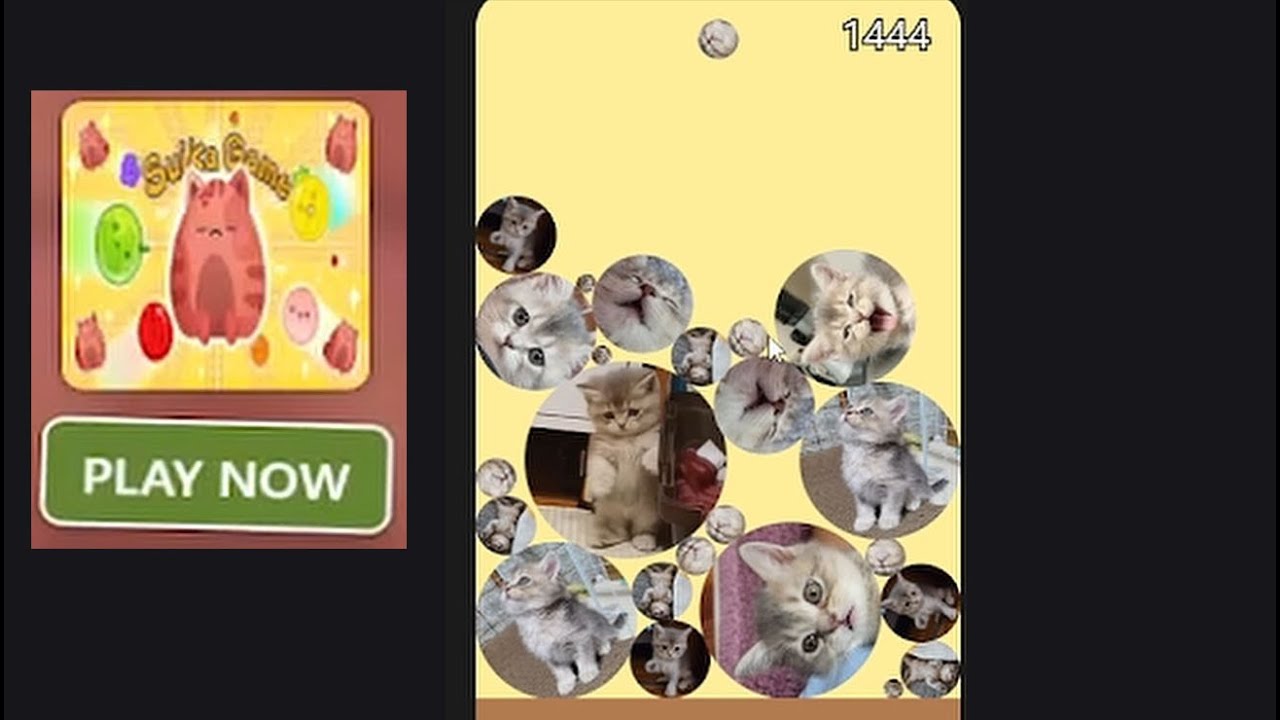 SUIKA CAT GAME 】Watermelon Game - YouTube