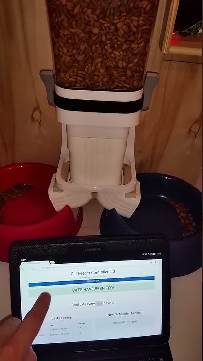 Raspberry Pi Cat Feeder with Web Interface in Action - YouTube