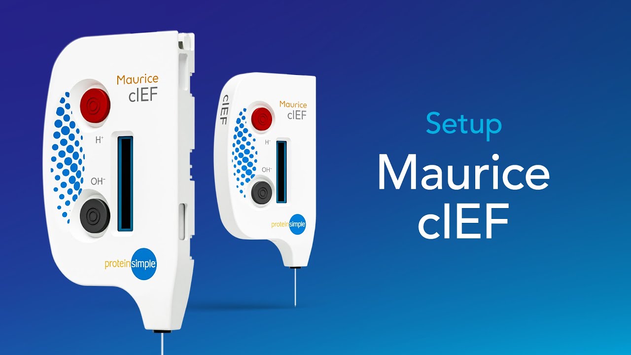 How to set up a Maurice capillary isoelectric focusing (cIEF) assay ...