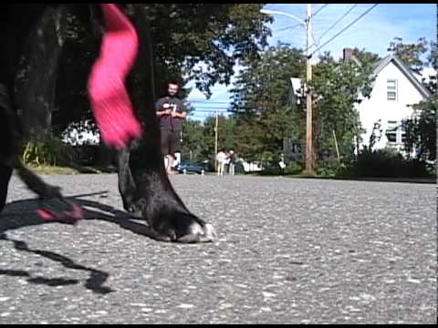 Denero