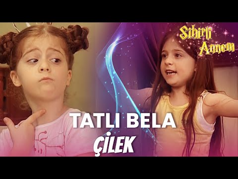 Evde Haylaz Çilek Rüzgarları  |   Sihirli Annem Özel Kolaj