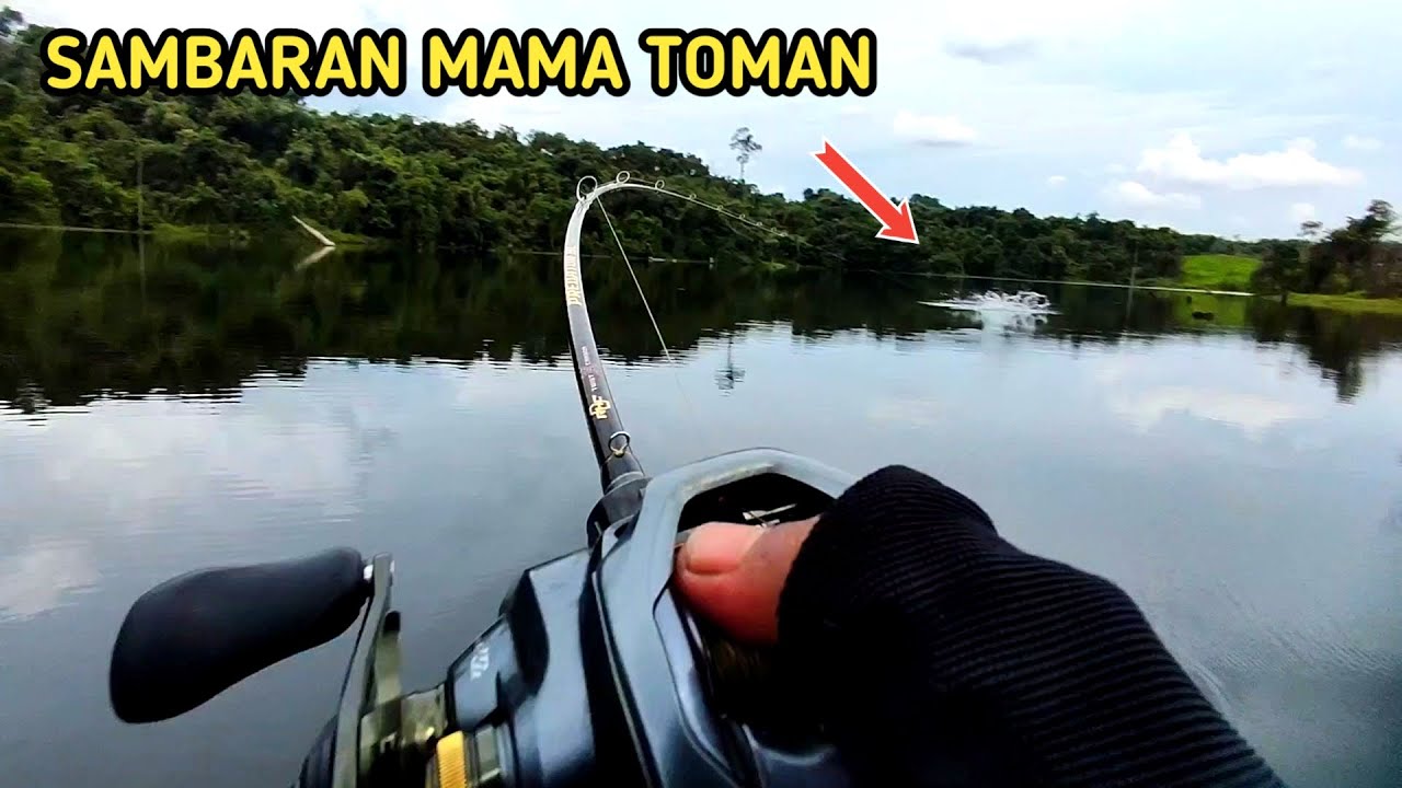 CASTING TOMAN || AKHIRNYA MAMA TOMAN INI NYAMBAR JUGA - YouTube