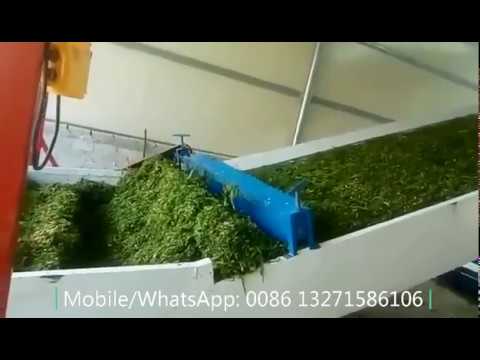 grass dryer mesh belt conveyor dryer for red pepper chilli - YouTube