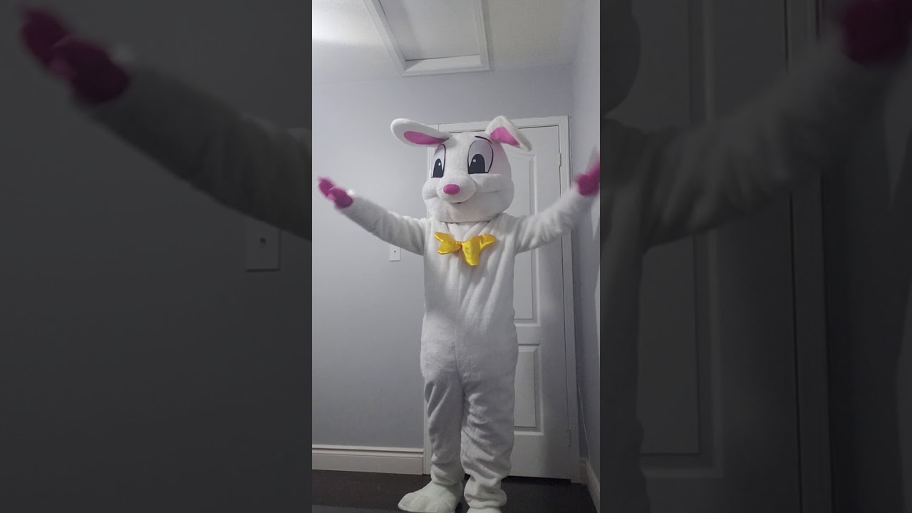 WALKING WALKING HOP HOP HOP - YouTube