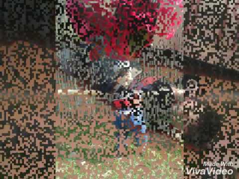 Agdasin Guvekendli Balasi