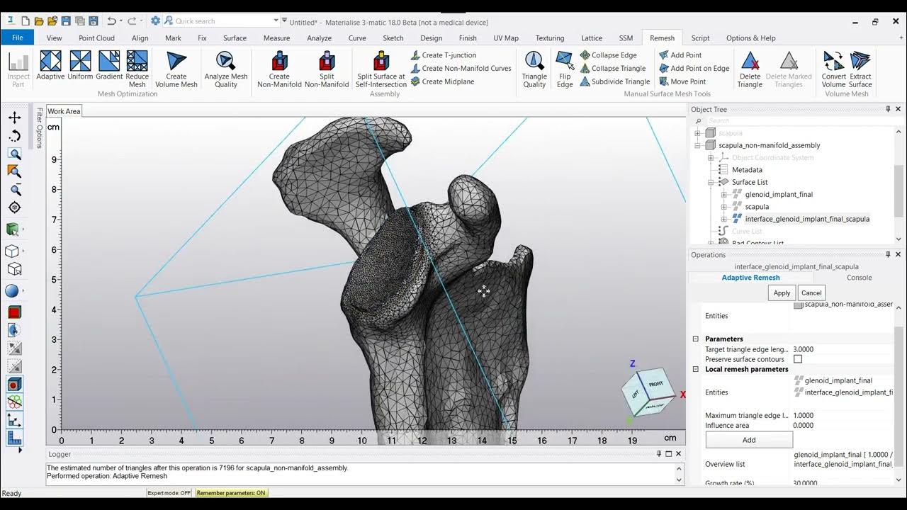 Tutorial: Prepare Anatomical Models for Finite Element Analysis - YouTube