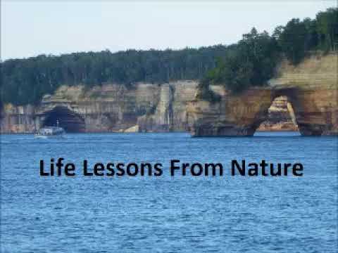 Life Lessons From Nature - YouTube