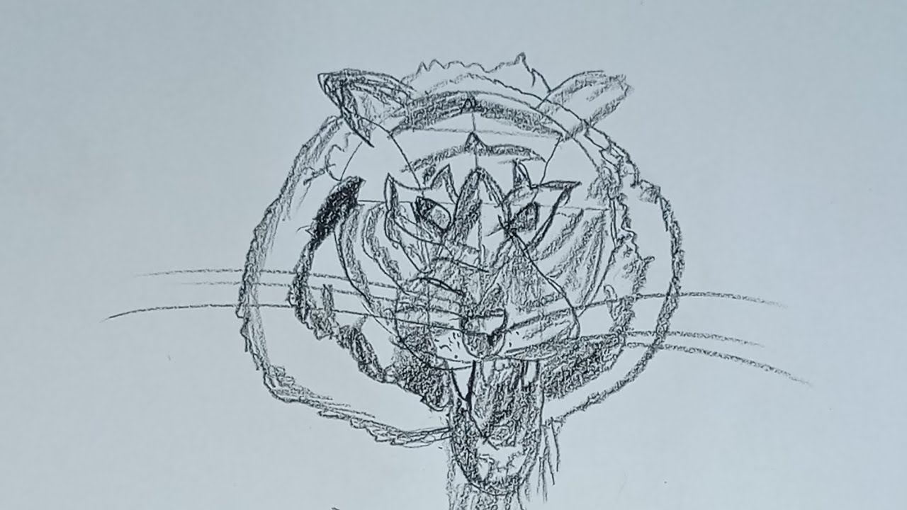 how to drawing easy drawing easy drawing and tiger arts and tiger easy ...
