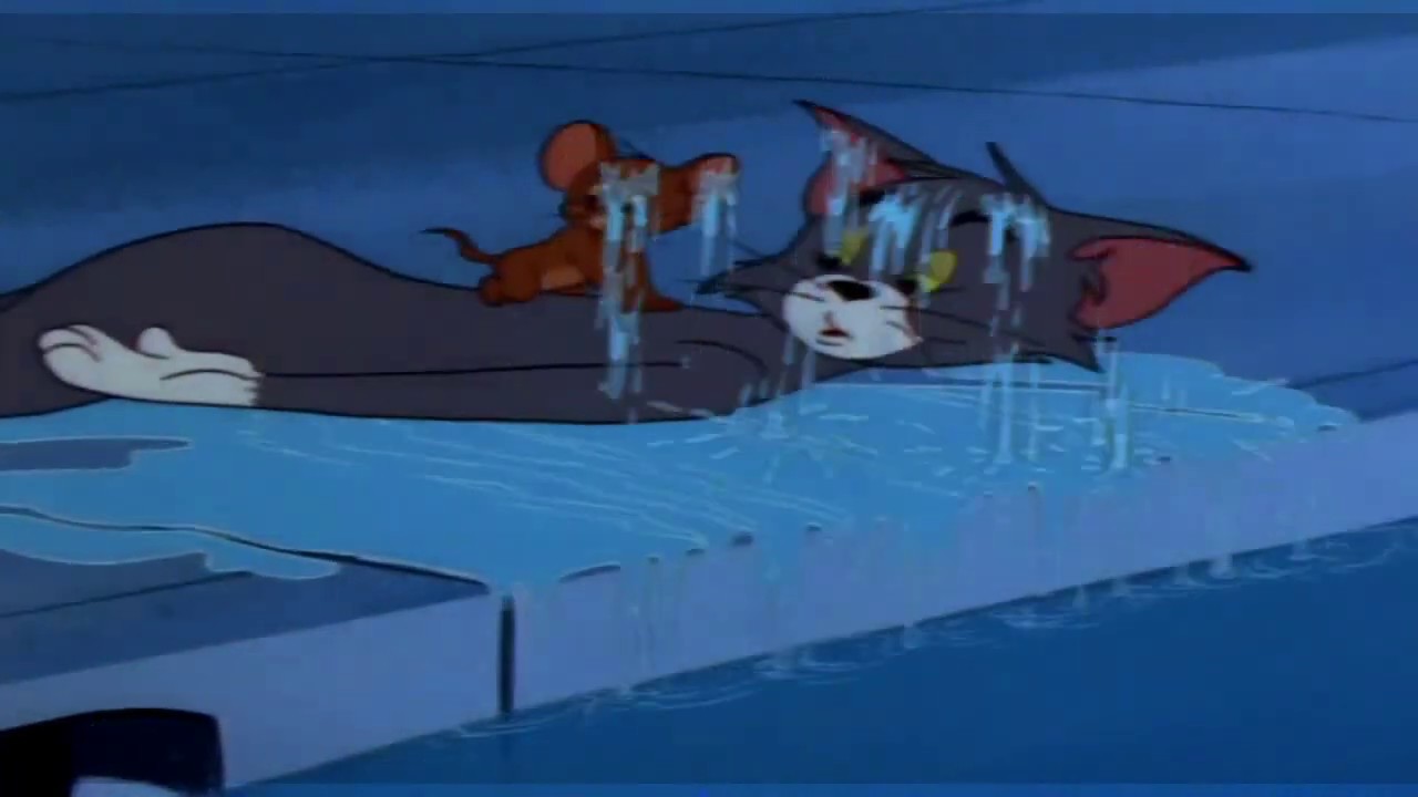 To tears! Depression cat Tom. // До слёз! Депрессия кота Тома. - YouTube