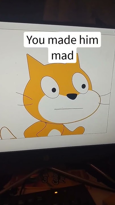 Scratch cat is angry #shorts #scratch - YouTube