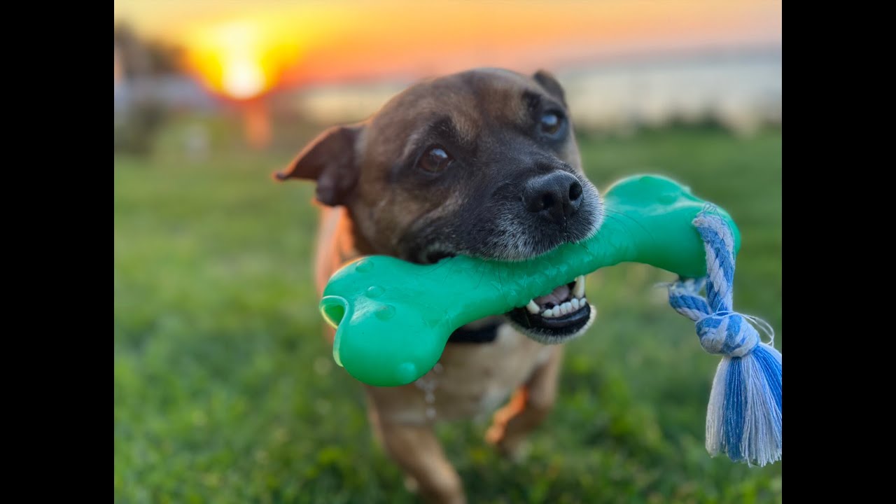 Complete Utter Sky Obsession - YouTube