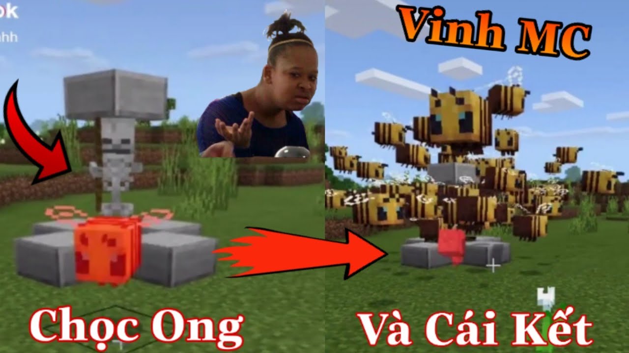 #120 Tik Tok Minecraft - Tổng Hợp Những Video Hay Và Chất Lượng Nhất ...