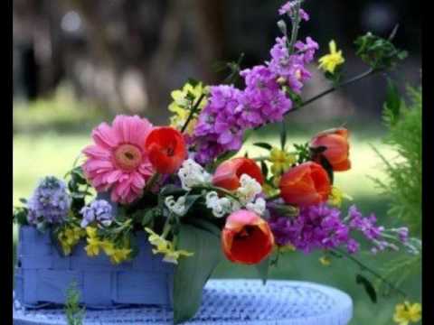 metin aşam  ben bilirim  şiir