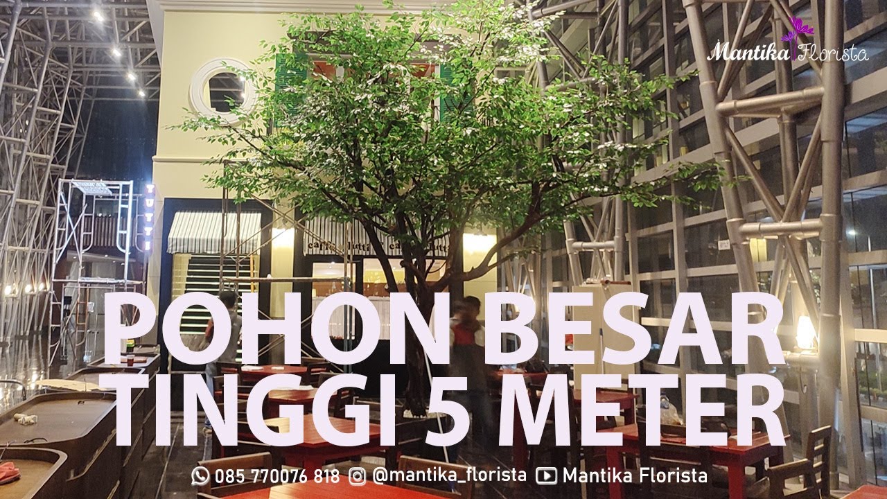 Pohon Besar Plastik 5 meter Restoran Pohon Artifisial Mantika Florista ...