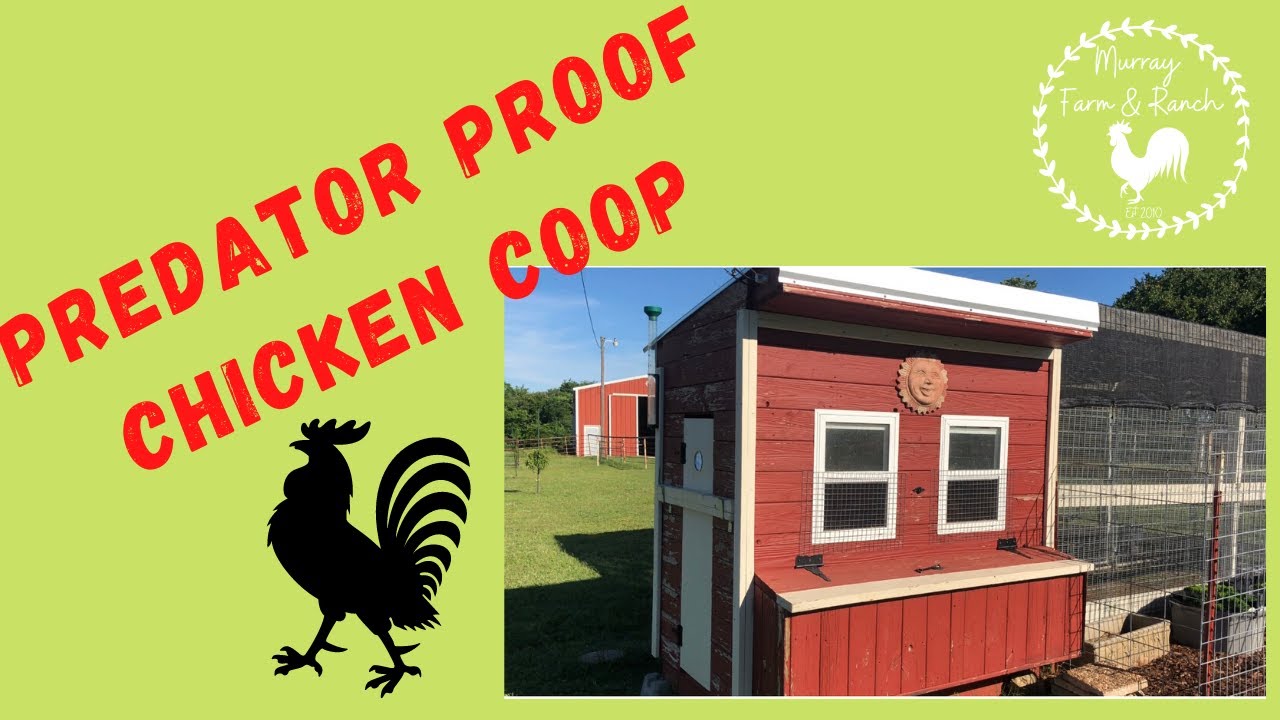 Predator Proof Chicken Coop - YouTube