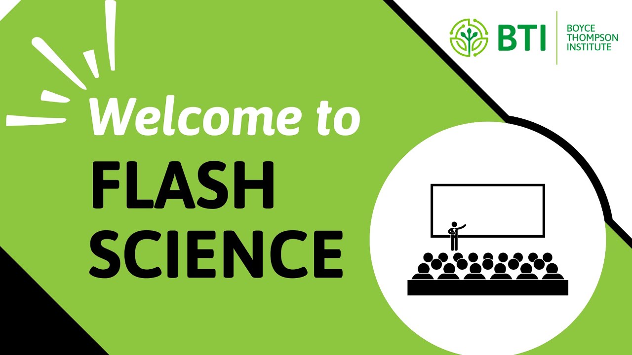 Flash Science - YouTube