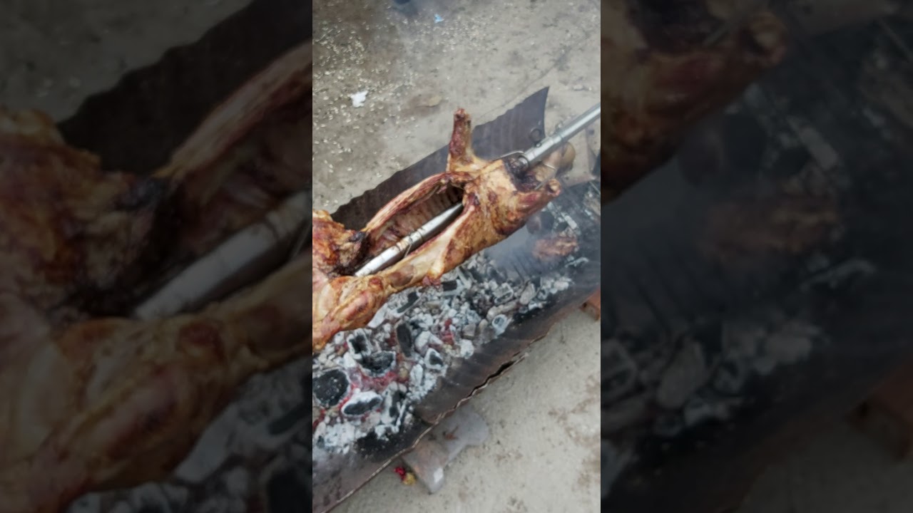 Protap porc - YouTube