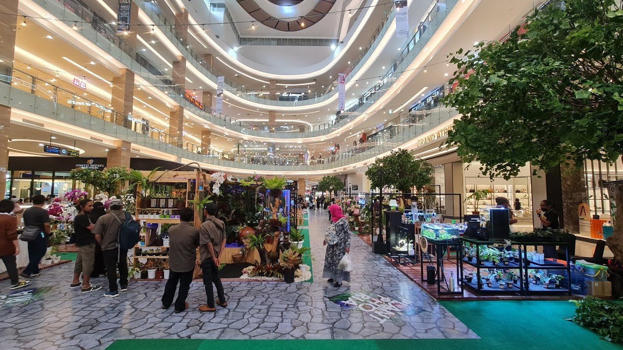 Pameran Tanaman Hias,Paludarium,Landscape "PAKUWON MALL JOGJA" - YouTube