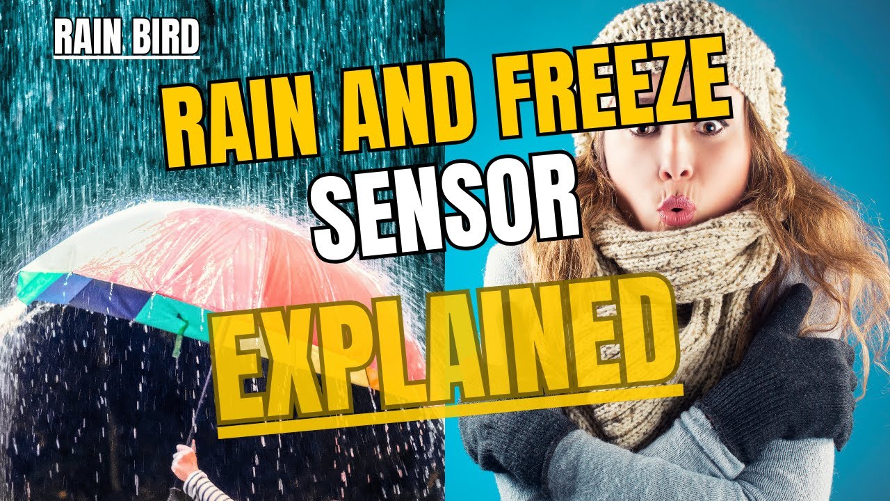 How To: Rain And Freeze Sensor Explained - YouTube