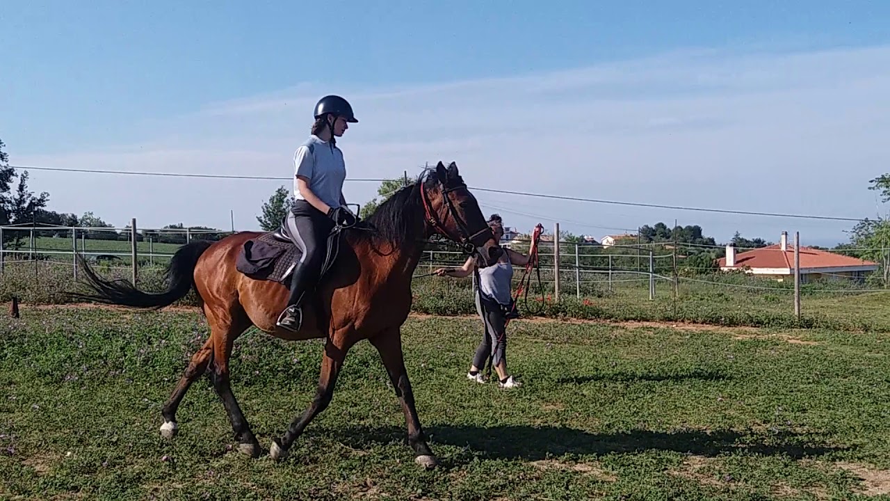 Il primo trotto a cavallo - YouTube