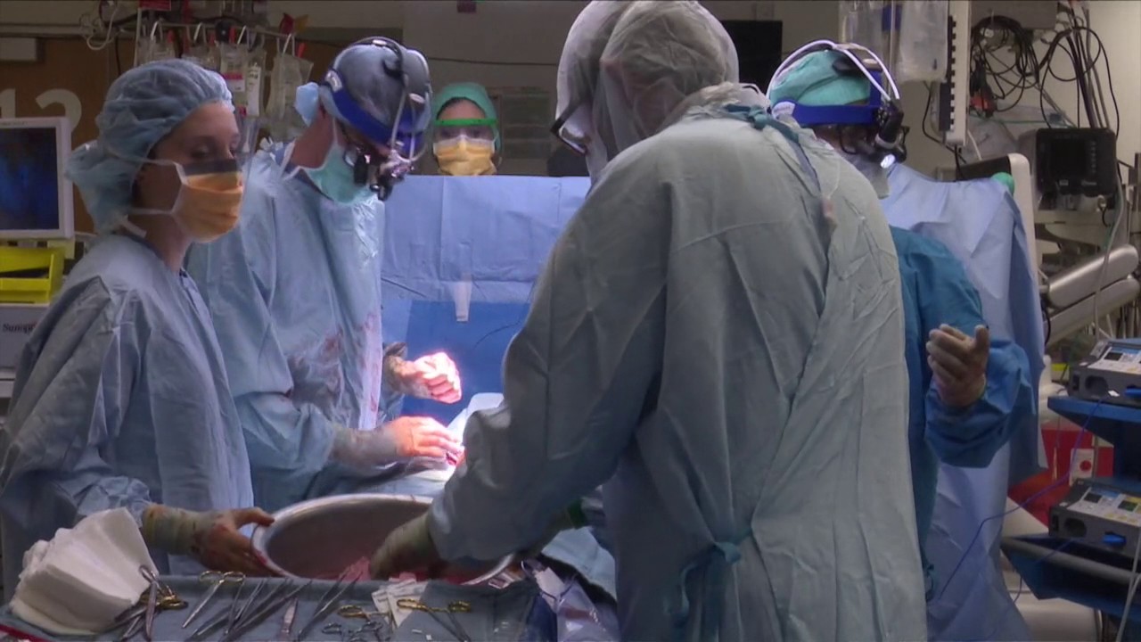 'Heart-in-a-box' device helps save lives - YouTube