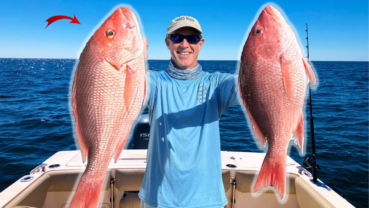 Pre-Fishing For A RED SNAPPER Tournament! Chances Look GOOD! [Catch ...