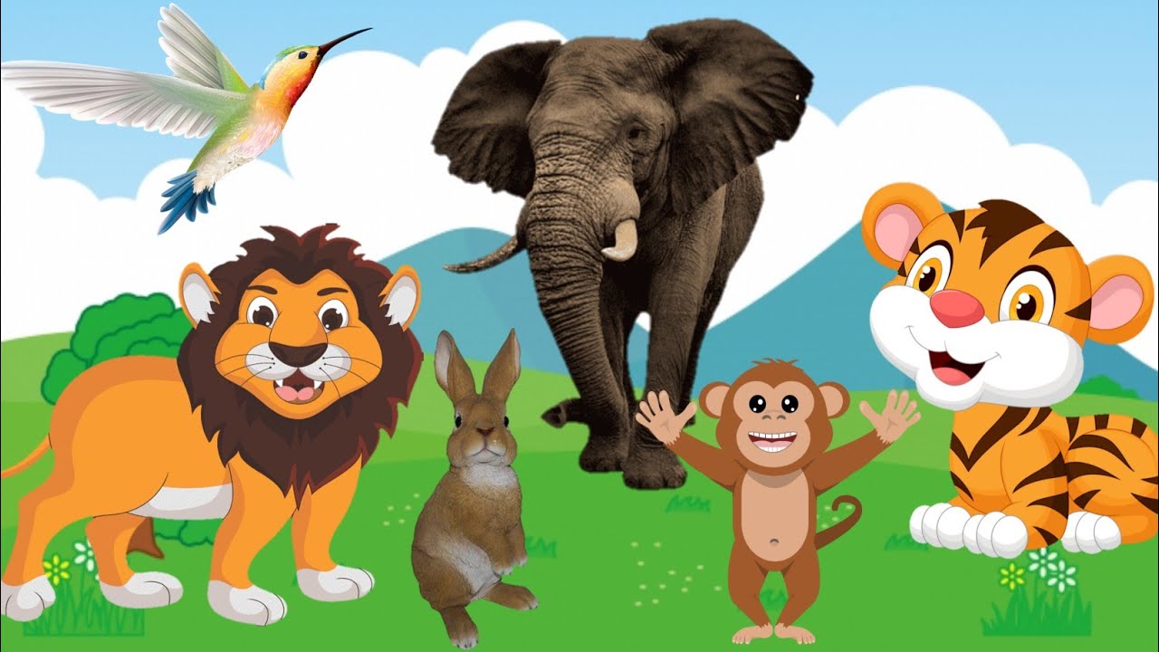 dogs cats ducks horses sheep , elephants , animal sounds - YouTube