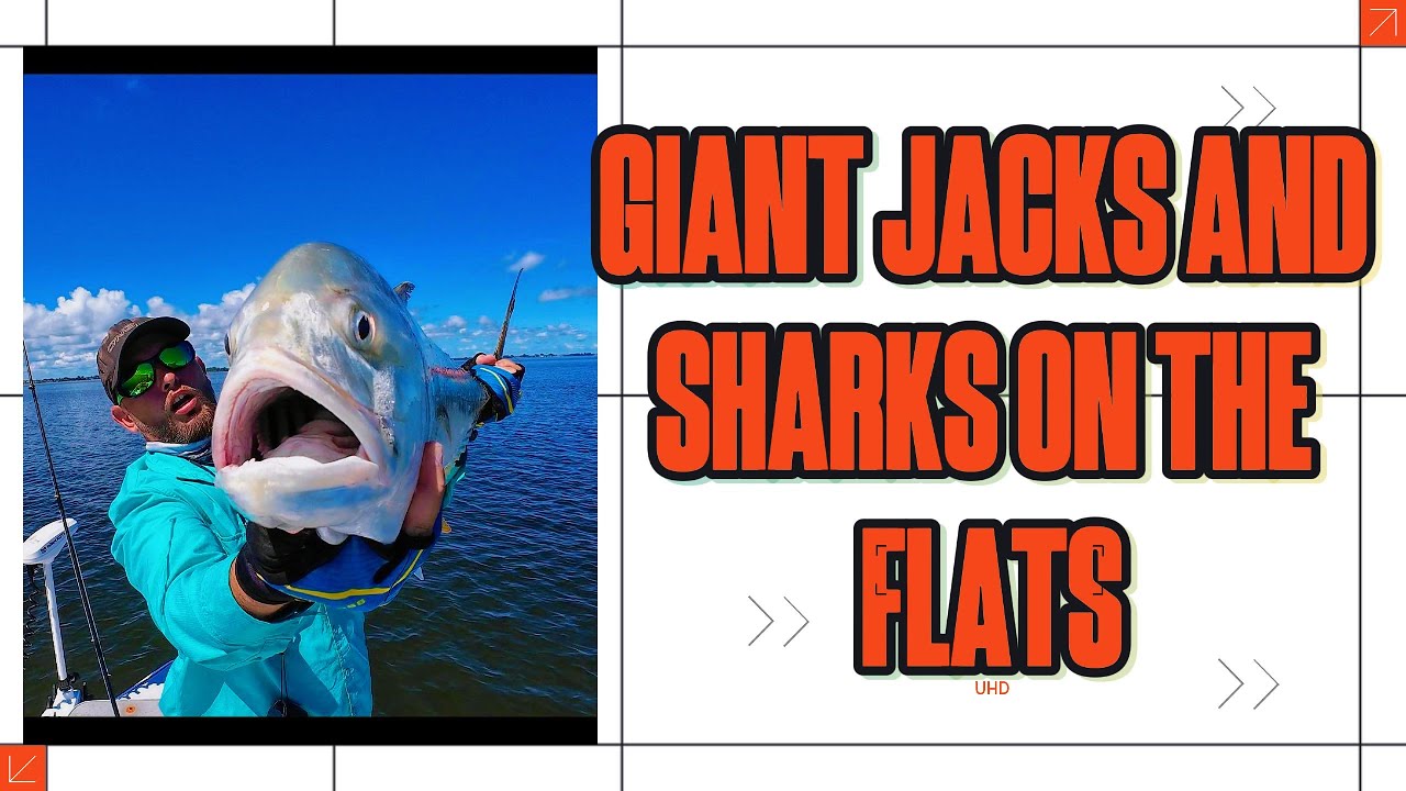 The Ultimate Battle: Catching Giant Jacks & Sharks - YouTube