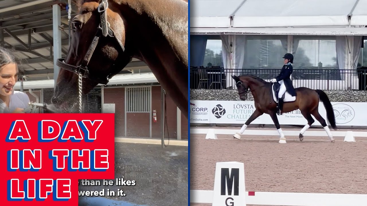 A Day in the Life: At the Robert Dover Horsemastership Dressage Clinic ...