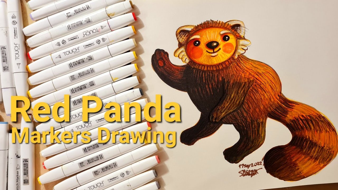 How to draw a cute Red Panda/markers drawing tutorial step by step ...