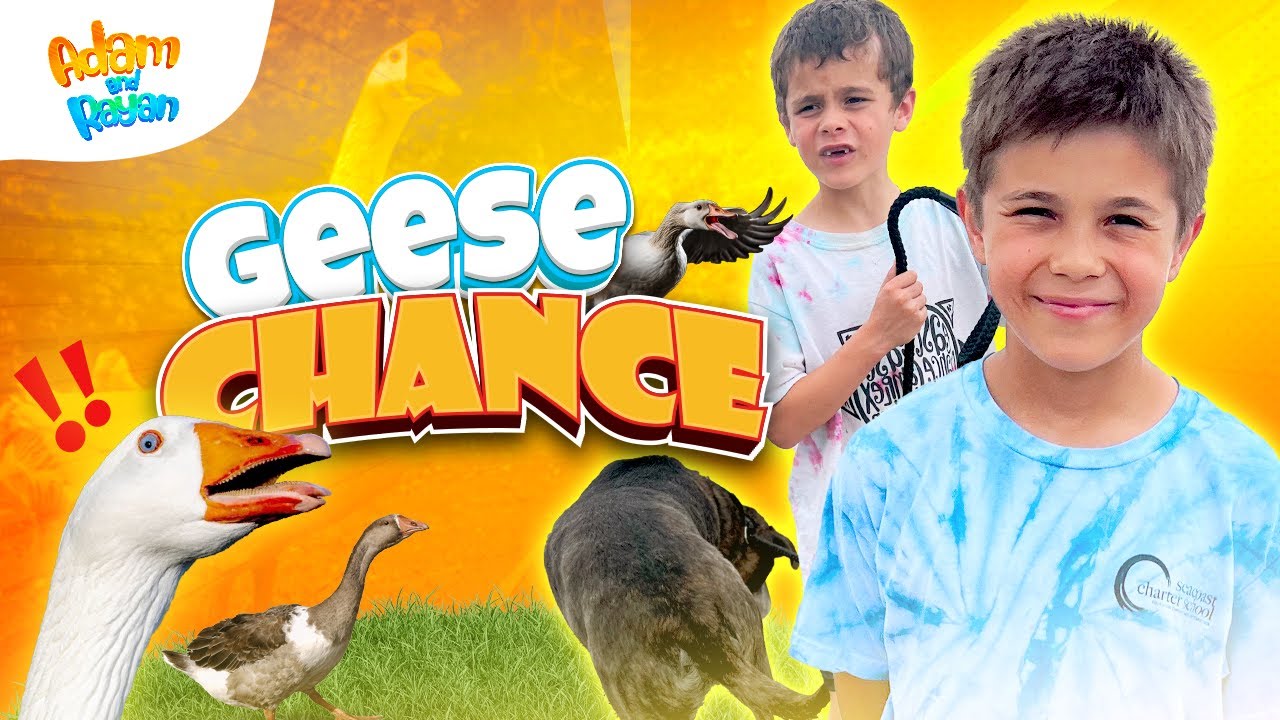 Epic Geese Chase: The Most Intense Pursuit Ever! - YouTube