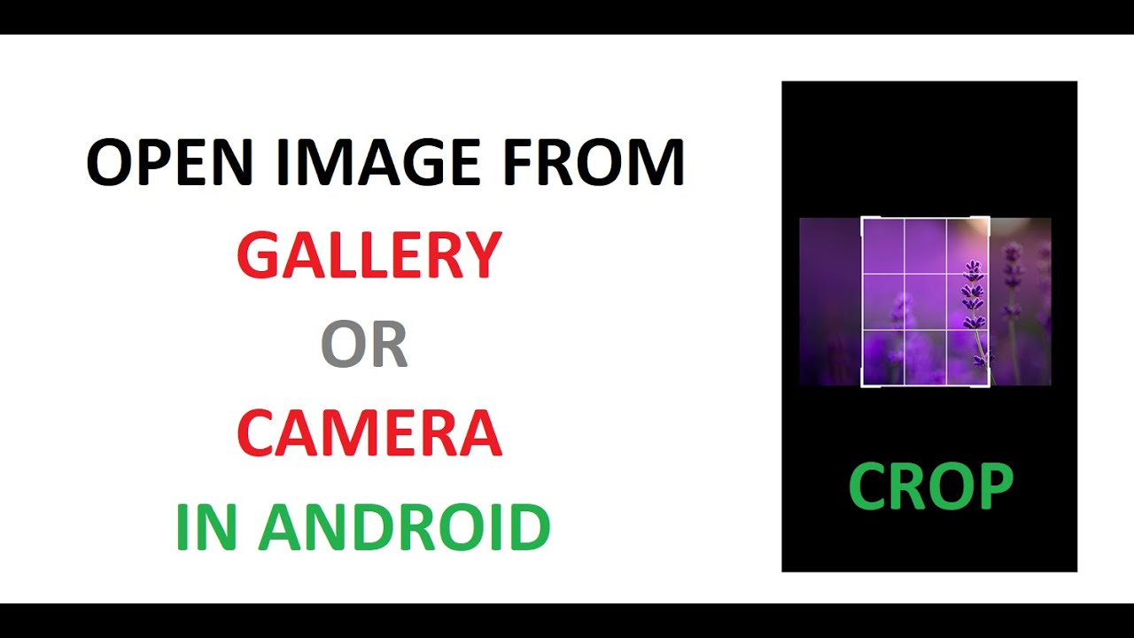 Android Crop Image From Gallery Top Answer Update