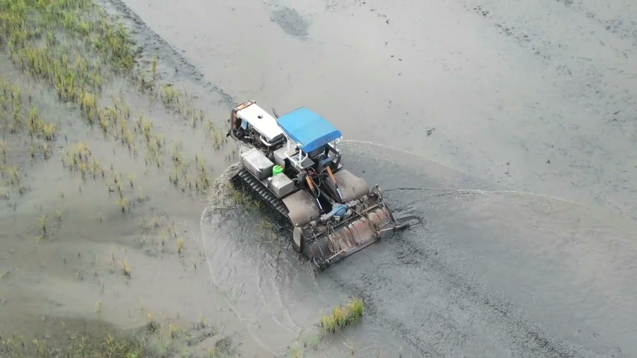 Thai farmer using tractor to cultivate rice field in Thailand - YouTube