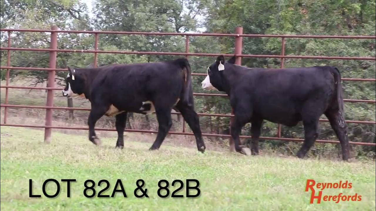 Reynolds 82A & 82B - YouTube