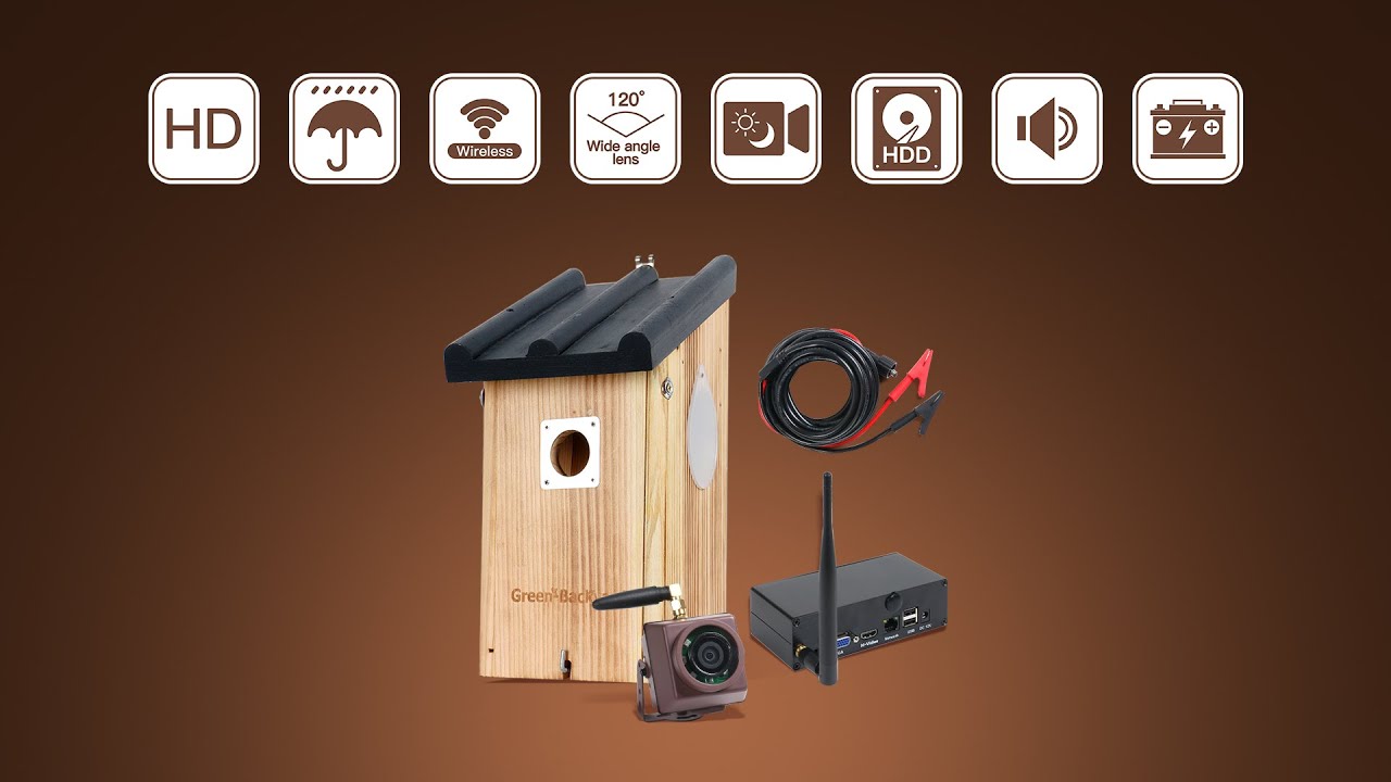 How to setup Birdhouse Camera HD with Wireless Transmission - YouTube