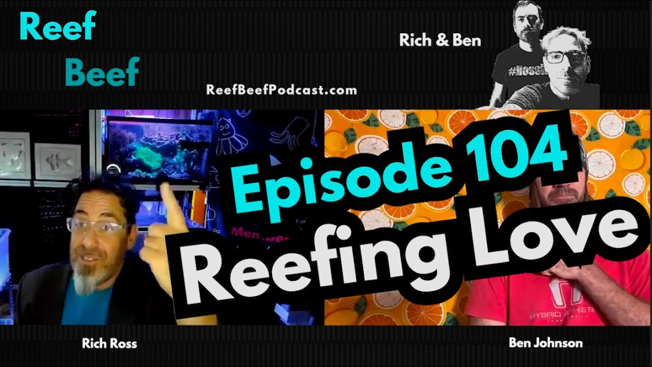 Reefing Love - Episode 104 - Reef Beef Podcast - YouTube