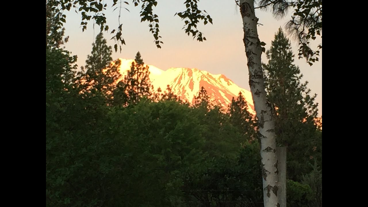 LOVE AND UNITY (#- 2) WERNER SCHROEDER - THE CHELA ON THE PATH TO THE ...