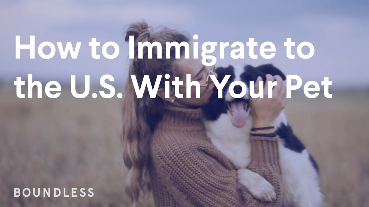 How to Immigrate to the U.S. With Your Pet - YouTube